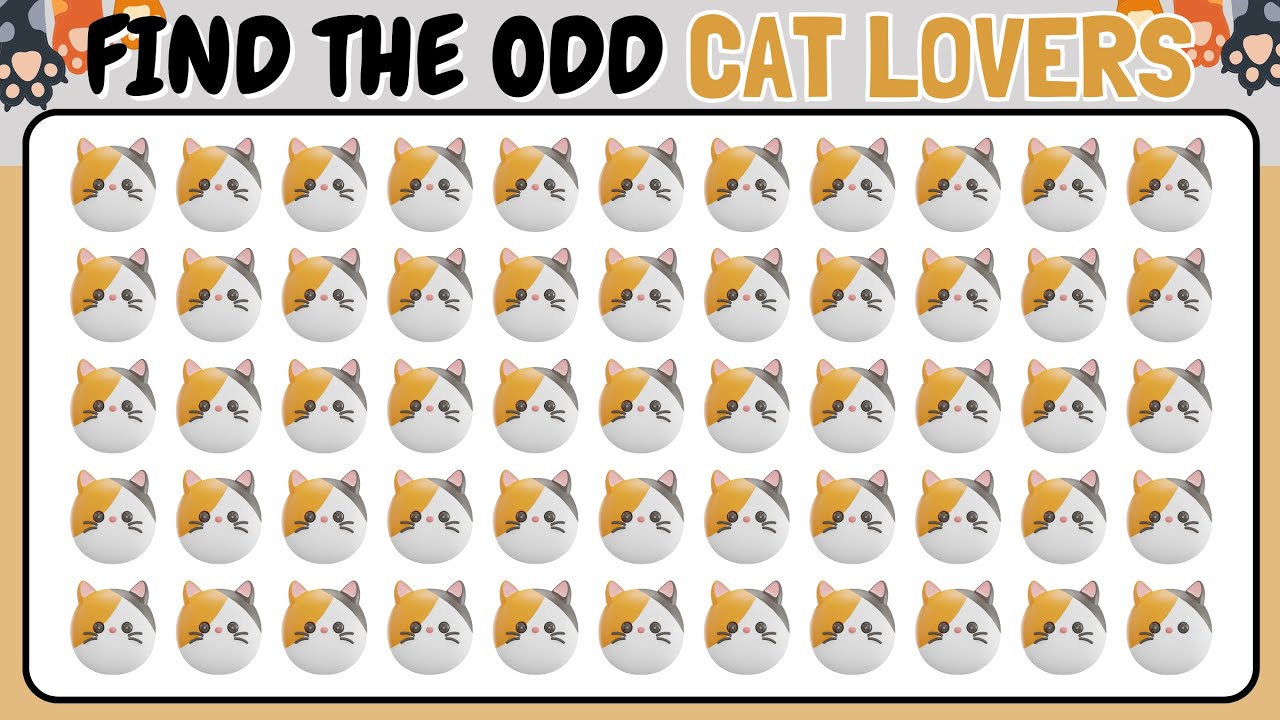 Find The ODD One Out Cat Lovers Edition 006 YouTube find-the-odd-one-out-cat-lovers-edition-006-youtube