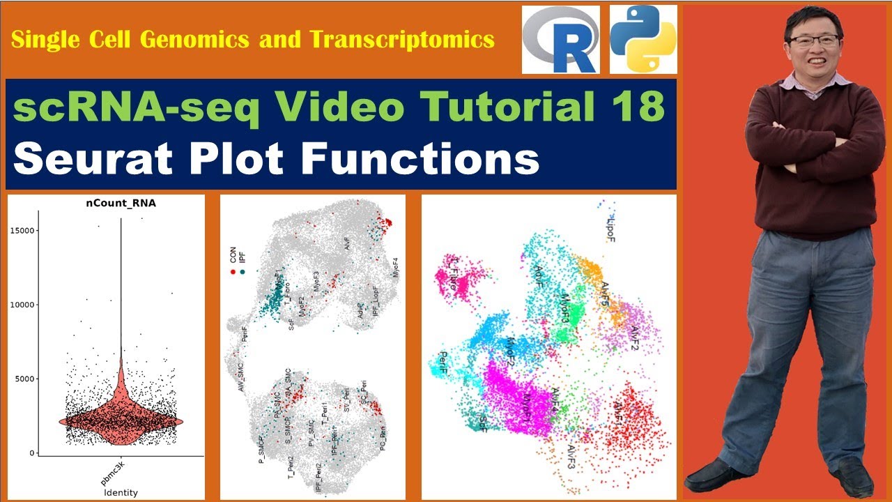 Seurat Video Tutorials--Video 18: Seurat Plot Functions - YouTube