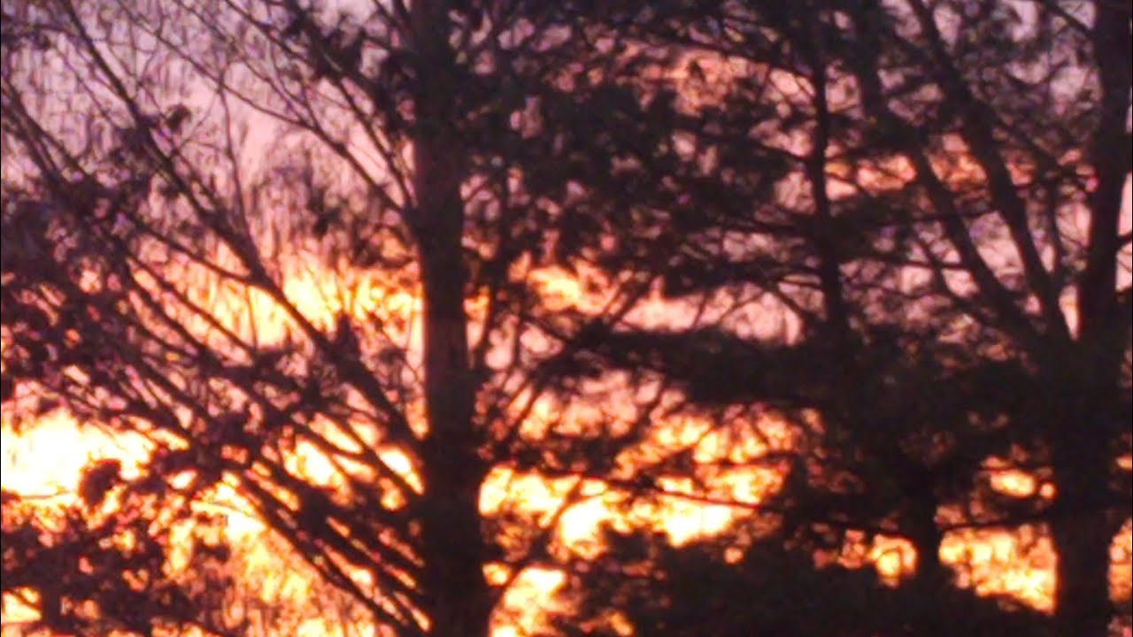 glint glint. - YouTube