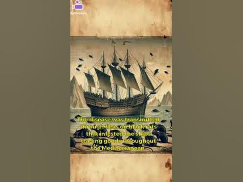 The Bubonic Plague: The Black Death's Devastating Impact on Medieval ...