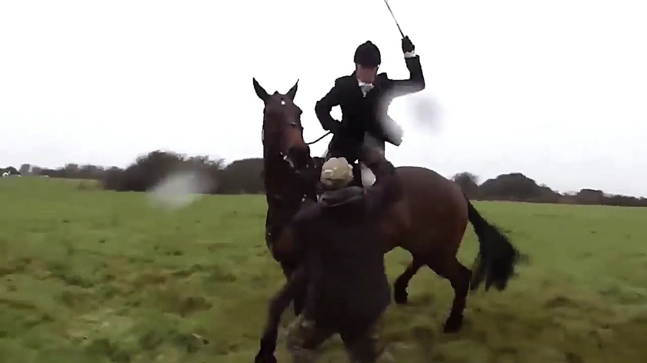 Fox Hunter Whips Anti-Hunting Protester - YouTube