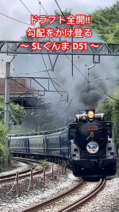 ドラフト音全開で山の勾配をかけ登るD51 SLぐんまみなかみ Japan steam locomotive #train #japan #蒸気機関車 #鉄道 #d51 #slぐんま #群馬県 ...