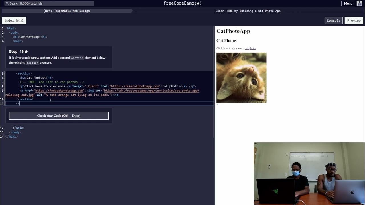 Steps 11 - 20 | Responsive Web Design | Cat Photo App | FreeCodeCamp ...