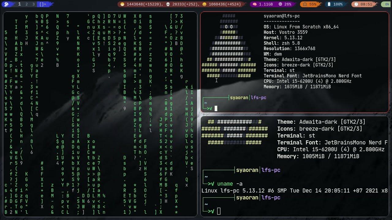 [Linux] Beyond Linux From Scratch (BLFS) - dwm - YouTube