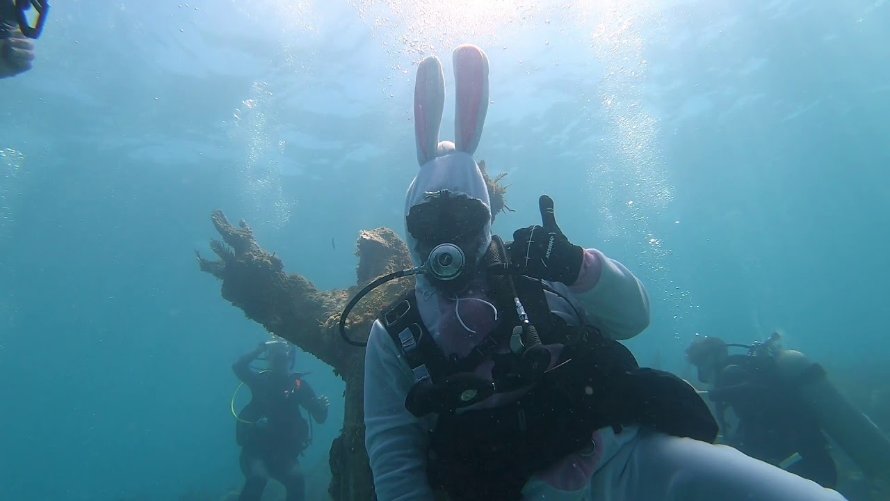 Easter Bunny Dives with Rainbow Reef - YouTube