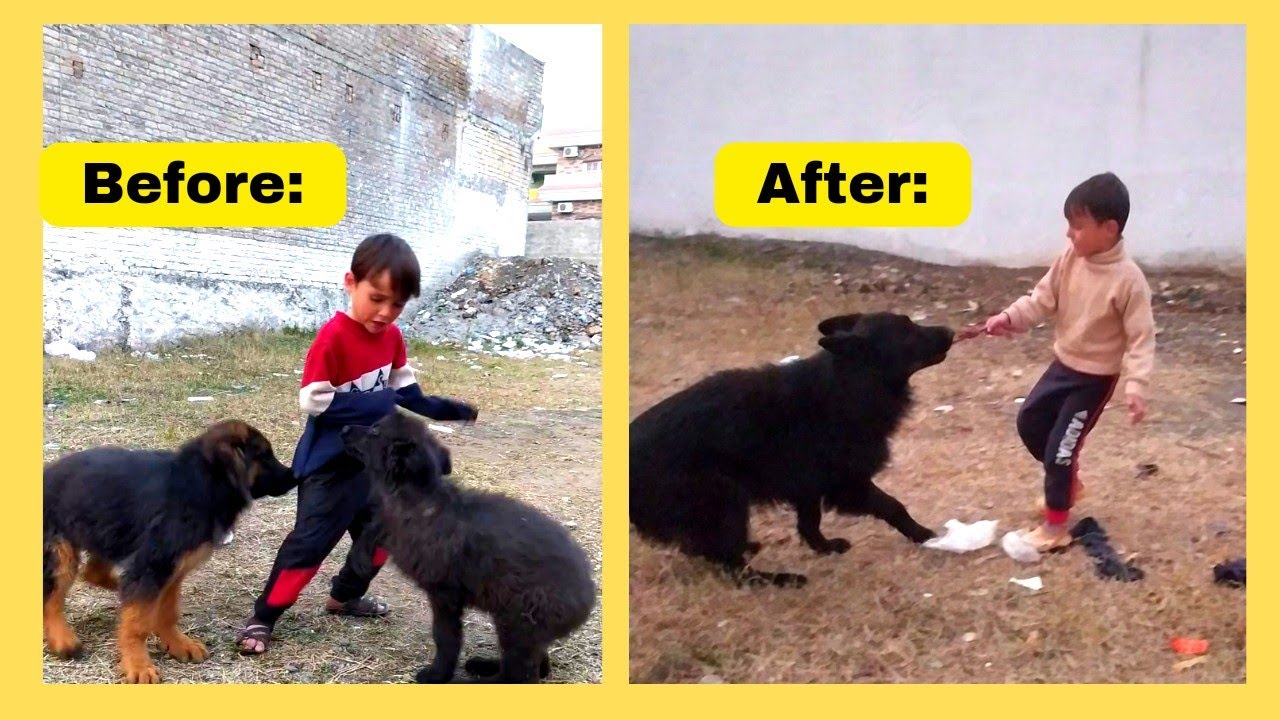 Arsh and Hash are playing together before/after - YouTube