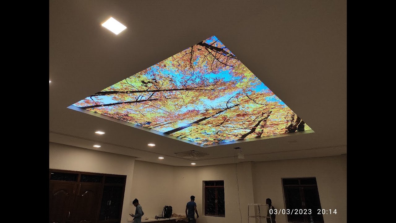 Embrace the Beauty of Fall Autumn Trees Printed Stretch Ceiling ...