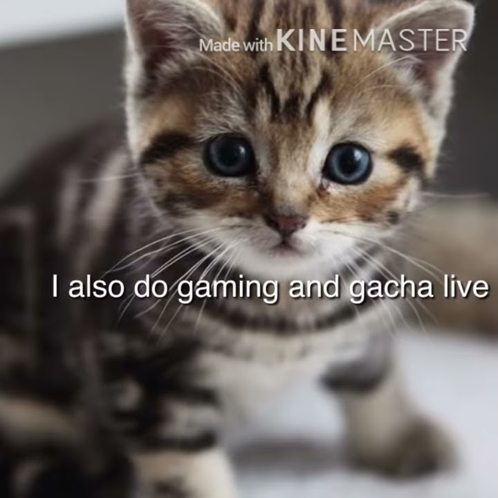 Ytboostrequest Youtube