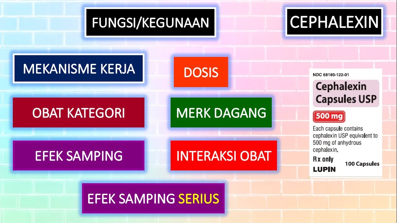 APA ITU OBAT CEPHALEXIN? - YouTube