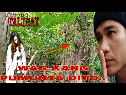 PUNO NG TALISAY NA MAY NANINIRAHANG ELEMENTO||WHITE LADY||PUTING DIWATA ...