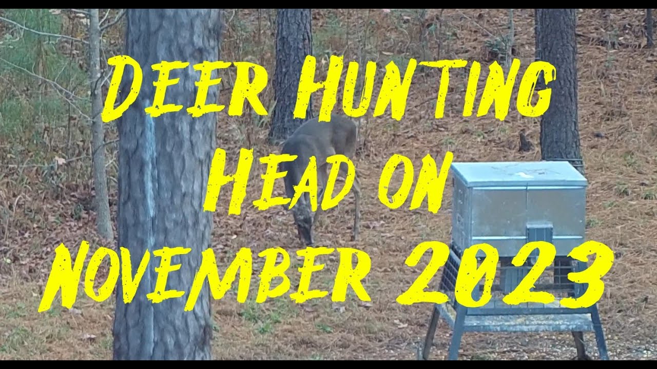 Deer Hunting a Doe / Buck November 2023 - YouTube