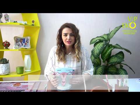 Sunimayalanma prosesi necə aparılır ? - Dr Elnurə Mustafayeva