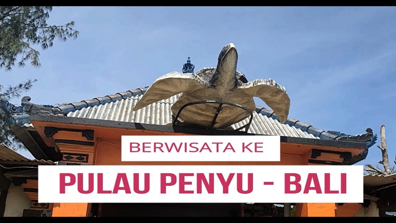 Jalan-jalan ke Pulau Penyu Tanjung Benoa Bali | Penangkaran Penyu Hijau ...