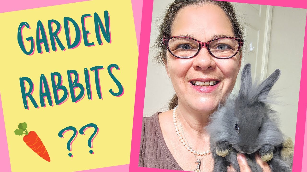 Why I'm Raising Rabbits For The Garden - YouTube