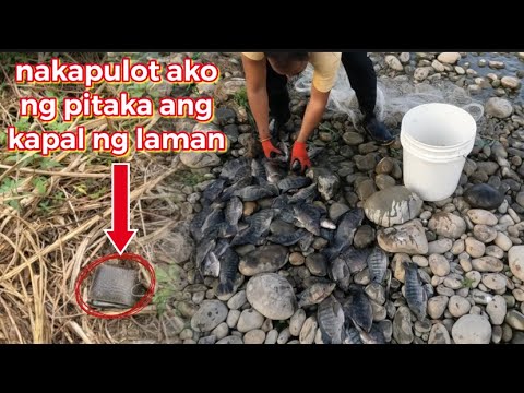 Catch&cook:nakapulot ako ng pitaka sa pinangingisdaan namin +jackpot ...