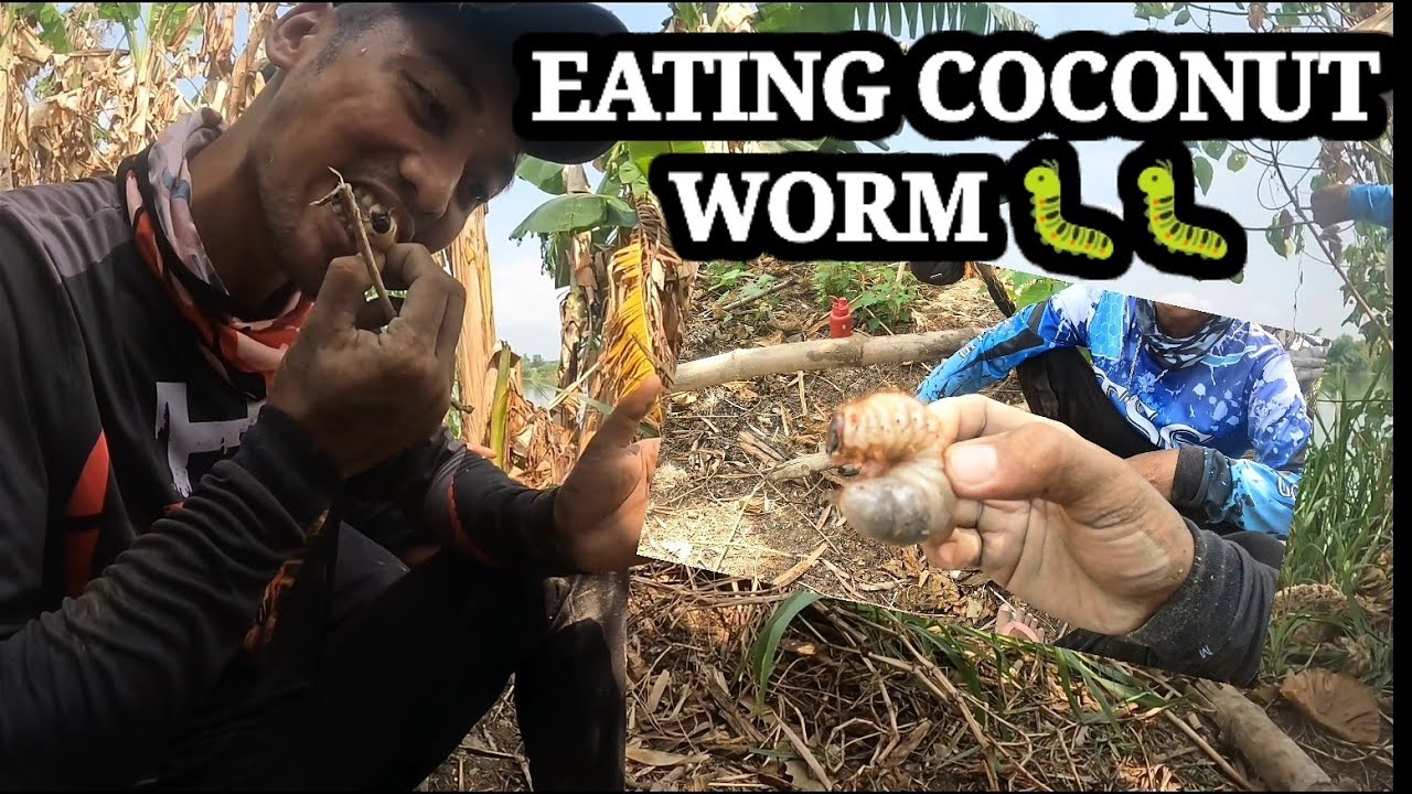 EATING COCONUT WORM 🐛,ISANG NAKAKAPAGOD AT DELIKADONG TASK ANG ...