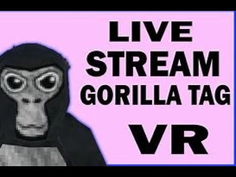 Gtag Stream, 4k before the end of stream?, Plz sub its free - YouTube