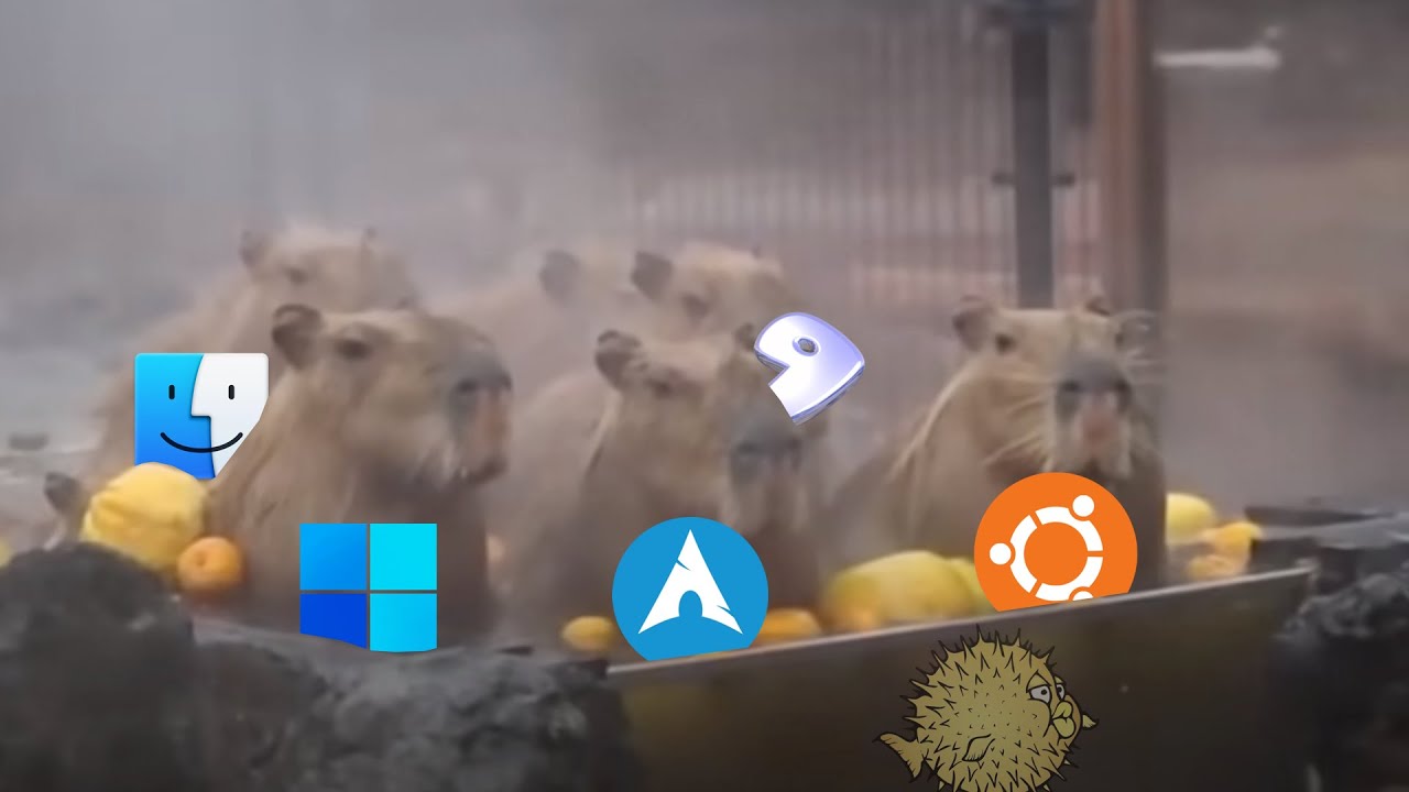 Another (Mostly) Linux Slander Meme - YouTube