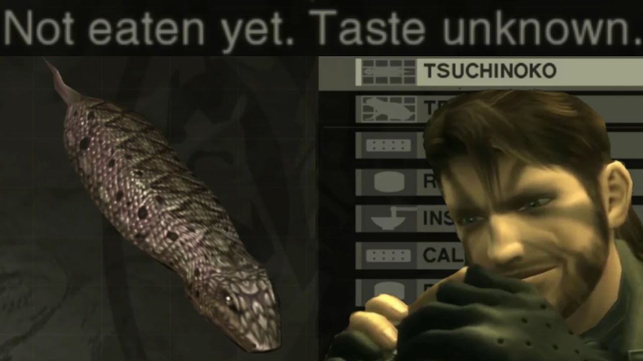 "Snake, you caught a Tsuchinoko!" - YouTube