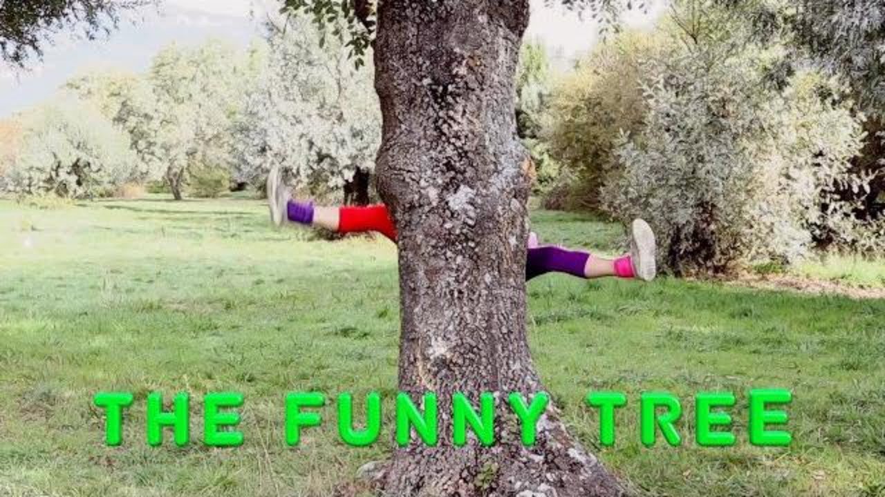 The Funny Tree. A fun song in English for kids - YouTube