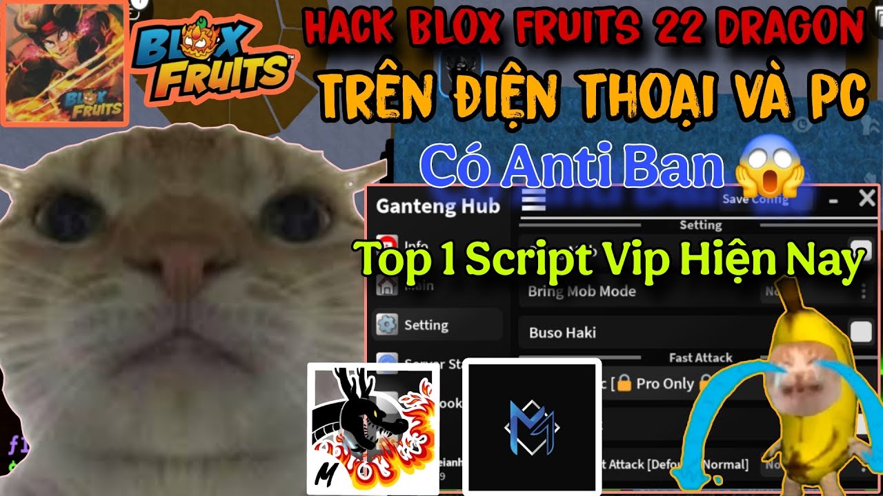 Hack Blox Fruits 22 Dragon Trên Điện Thoại | Script Ganteng Hub | Võ ...