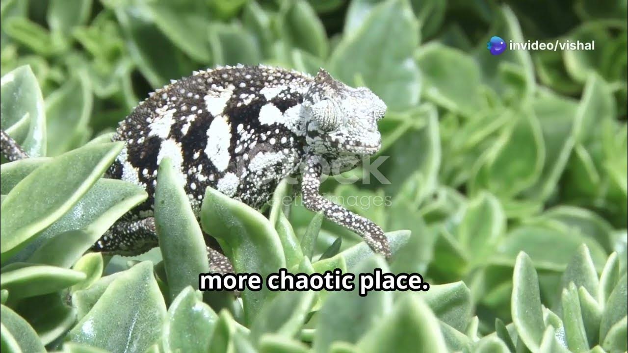 The World's Most Amazing Animal Camouflage: Nature's Masters of ...