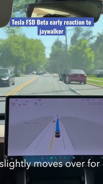 Tesla FSD Beta early reaction to jaywalker #fsdbeta #tesla - YouTube