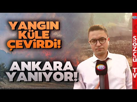Ankara Kızılcahamam'da Yangın! Alevler Ormanlık Alanı Çöle Çevirdi! Göz Gözü Görmüyor