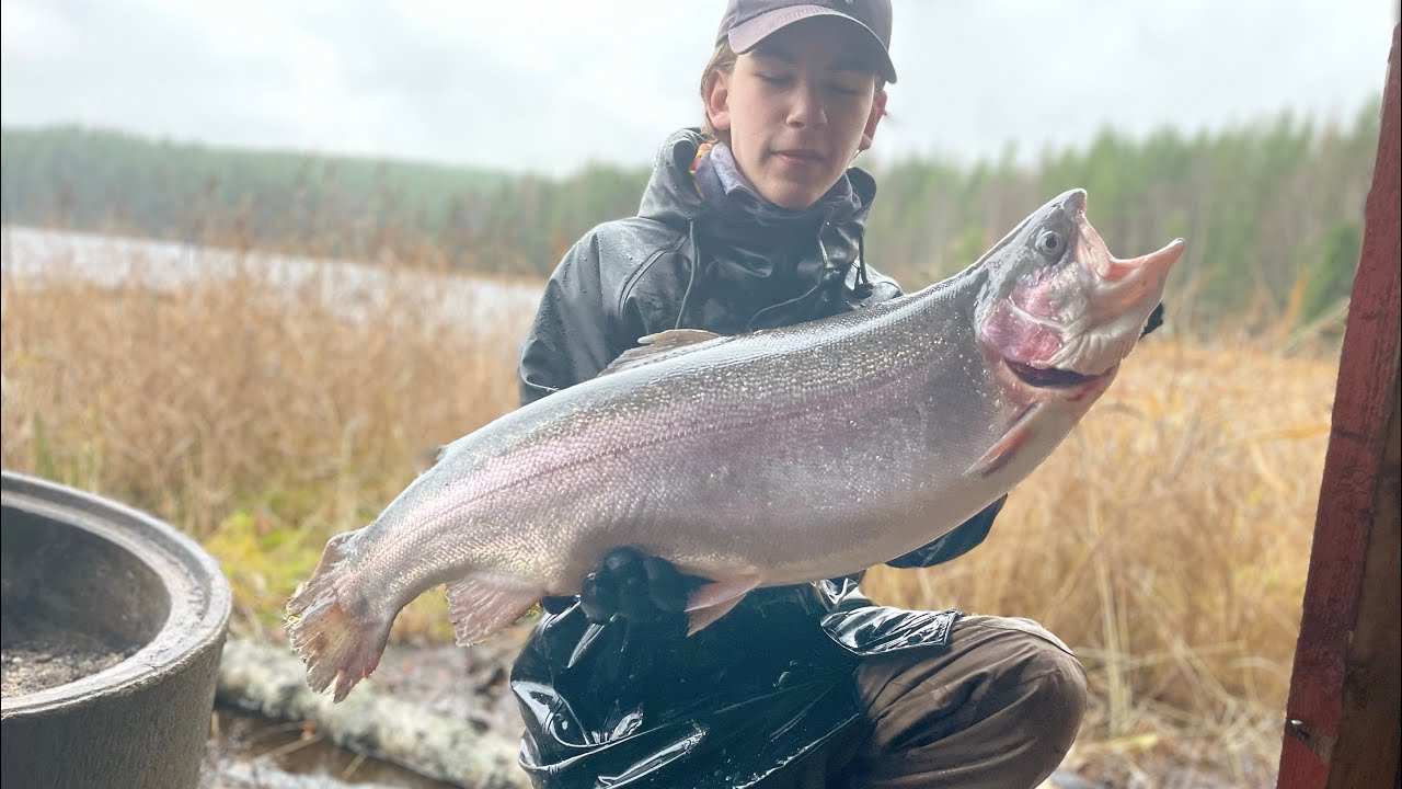 Fiskar efter stora regnbågar i grycksbo (PB 6kg?) - YouTube