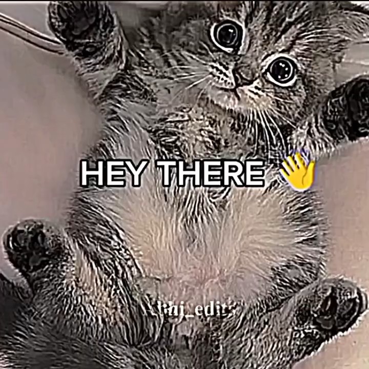 if it was a draw, don't worry u'll still get the price😽🐱#viralvideo # ...