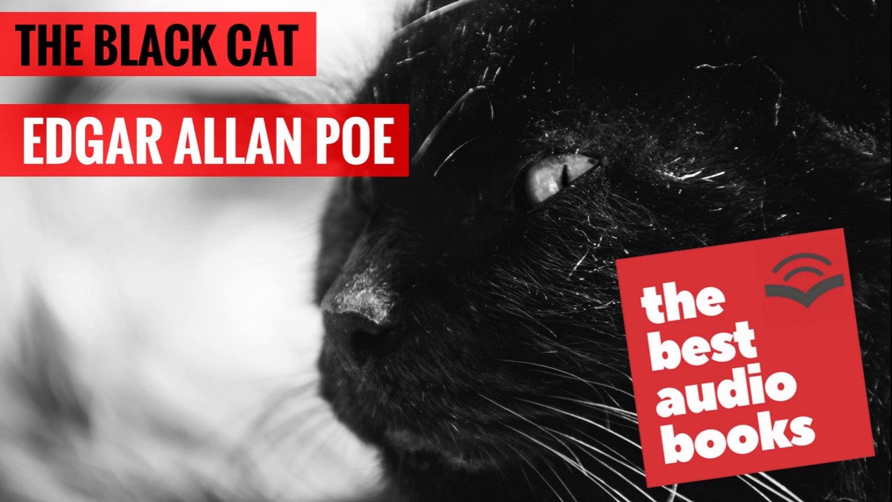 The Black Cat by Edgar Allan Poe - Horror Fiction Short Story - The ...