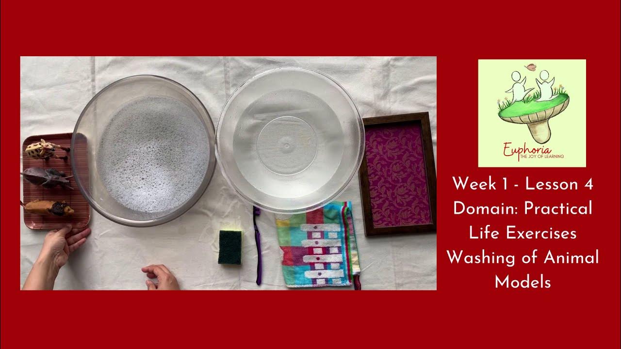 Montessori Practical Life Exercises - YouTube