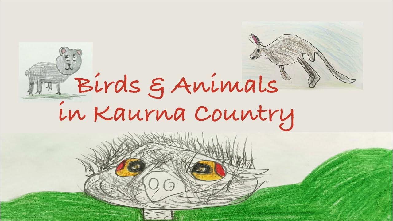 Kaurna with Tiyana - Birds & Animals in Kaurna Country - YouTube