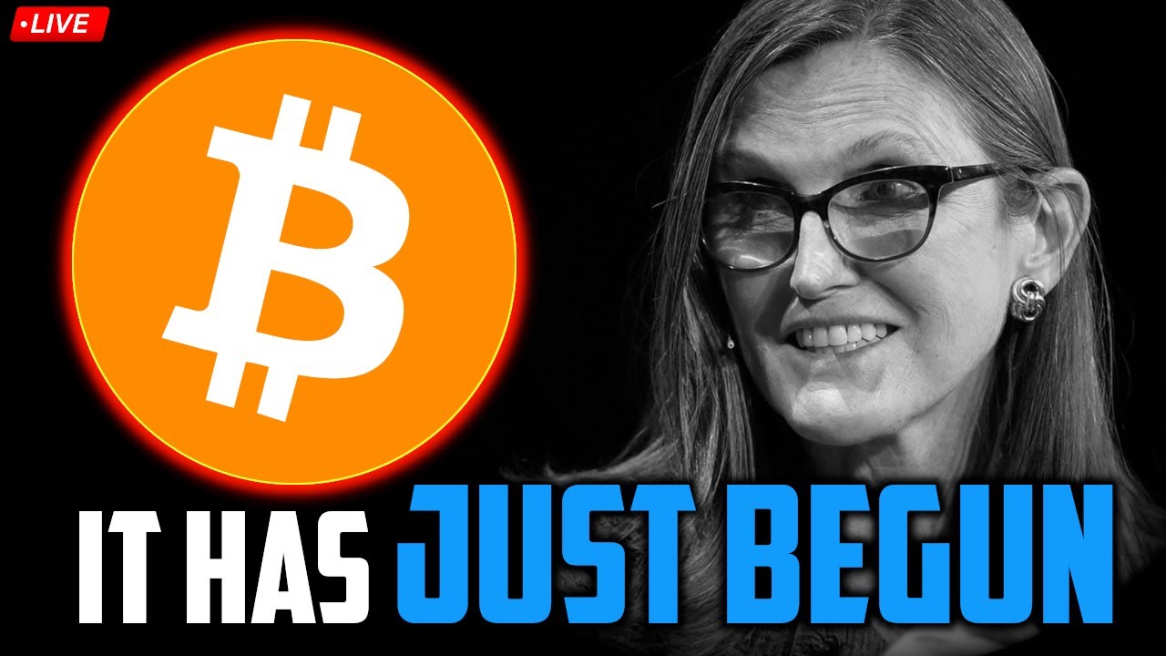 Massive Gains Are Coming Cathie Wood Bullish On Bitcoin Youtube