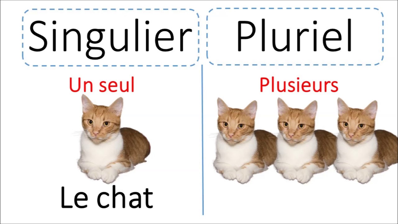 Grammar Learn The Singular And The Plural In French Online Video Cutter Com YouTube grammar-learn-the-singular-and-the-plural-in-french-online-video-cutter-com-youtube