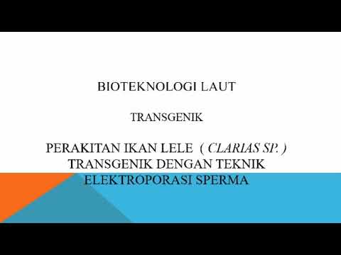 (BIOTEKNOLOGI LAUT UNIVERSITAS TRUNOJOYO MADURA) Bioteknologi ...