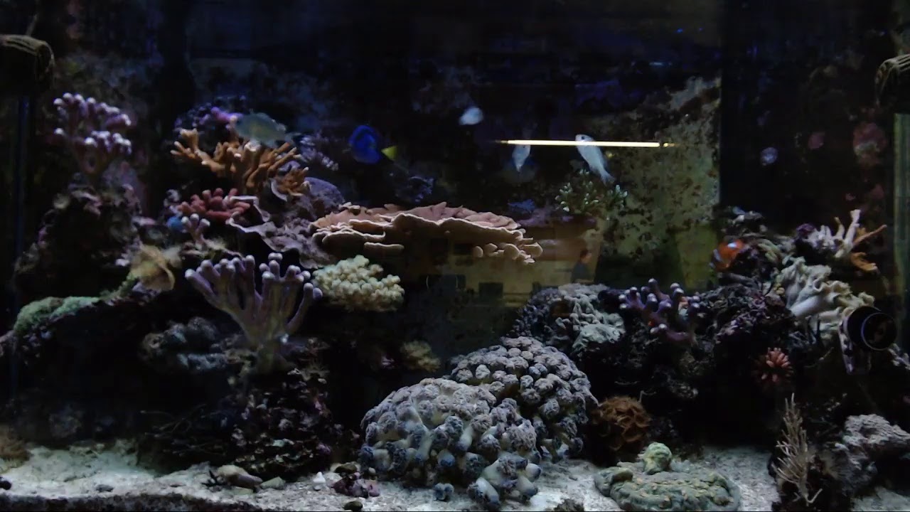 Matt Klapper Live Stream - YouTube