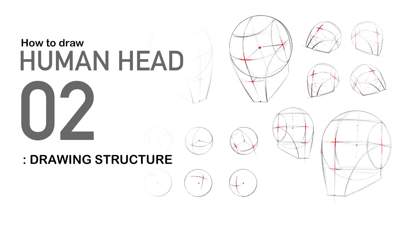 How to draw Human Head - 02 | Basic Structure | Beginner to Advanced ...