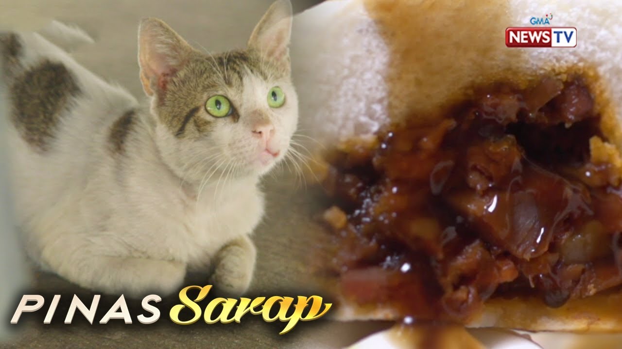 Pinas Sarap: Totoo bang karne ng pusa ang ipinapalaman sa siopao? - YouTube