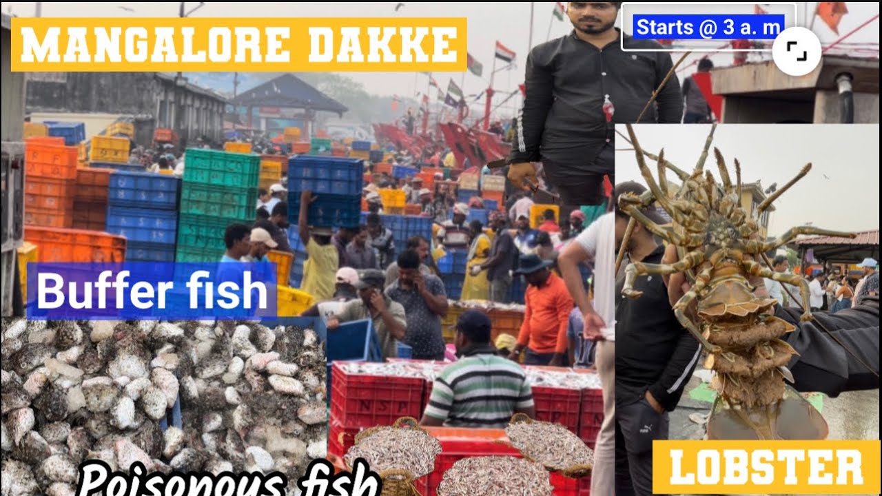 Mangalore dakke | lobster | fishes | buffet fish | mangalore | port ...