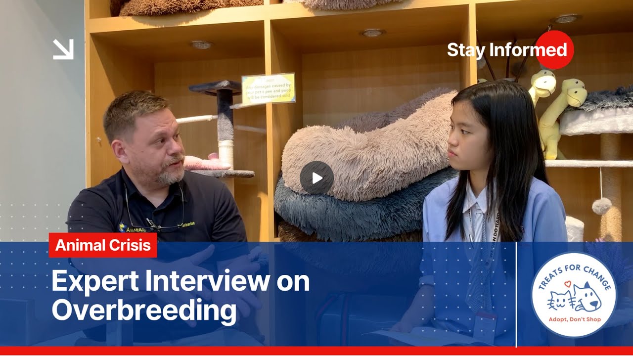 The Hidden Dangers of Overbreeding: A Vet’s Perspective - YouTube