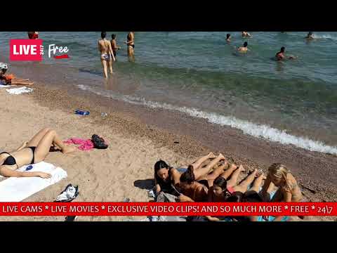 Beach VLOG.1 - Our friends at sea & we are at home, why?