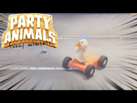 GO CAR GO! Party animals funny moments - YouTube