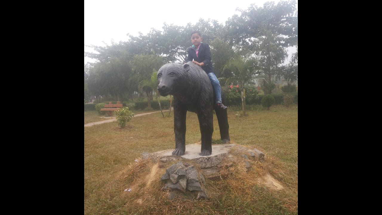 md saimon Live Stream - YouTube