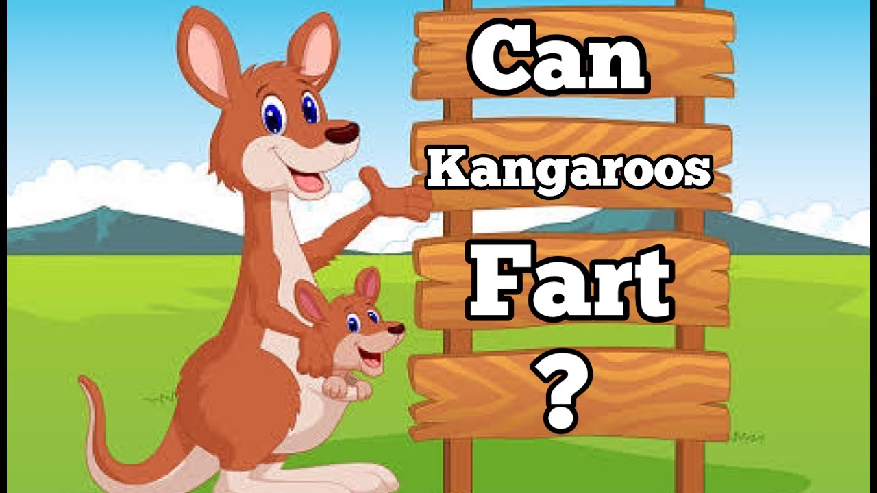Daily Dose Of Trivia #81 | Can Kangaroos Fart? - YouTube