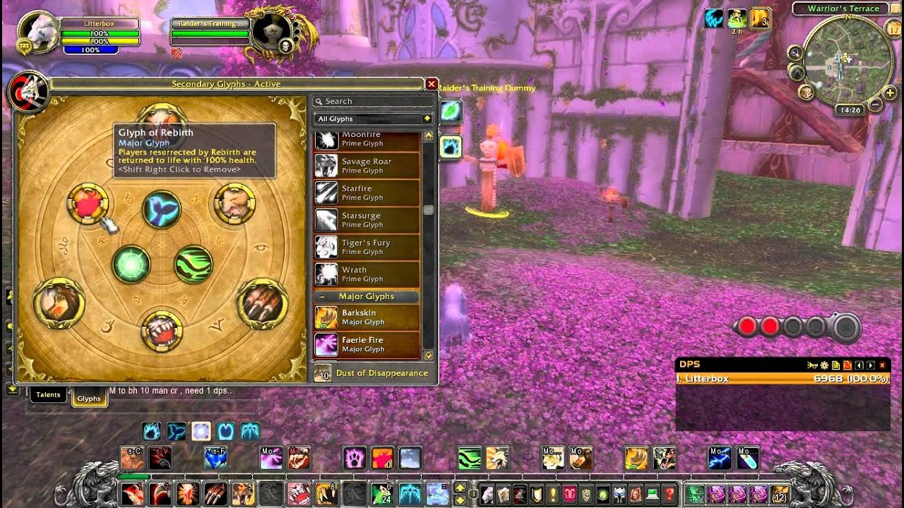 Feral Druid DPS Guide [Patch 4.3.4] - YouTube