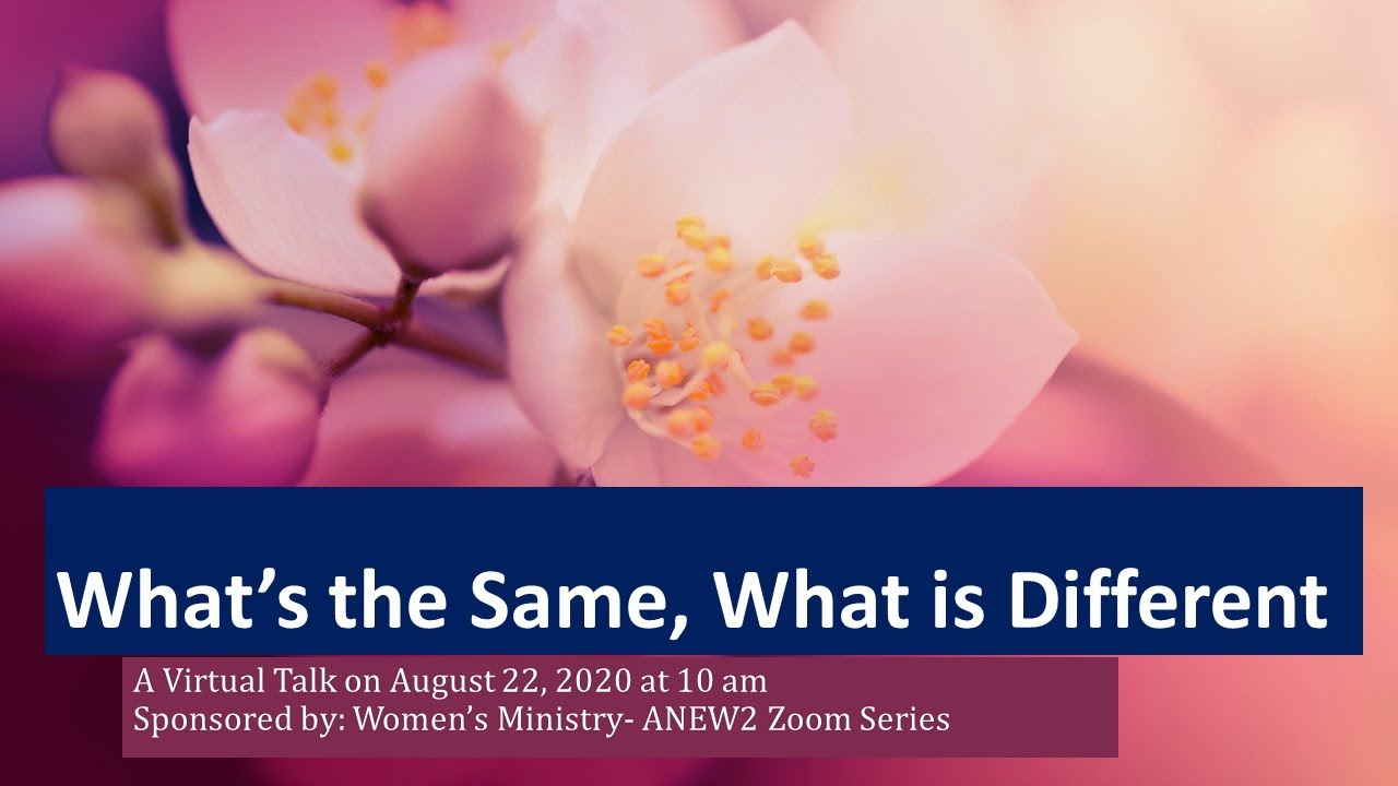 What's Different? What is Same? - YouTube