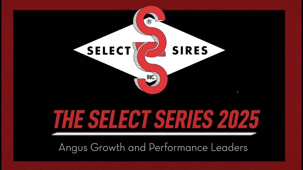 The 2025 Select Series: Angus Growth and Performance Leaders - YouTube