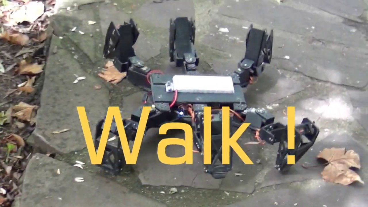 Hexapod Walk - YouTube