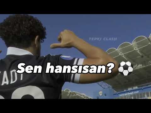 sen hansisan